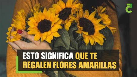 Esto Significa Que Te Regalen Flores Amarillas