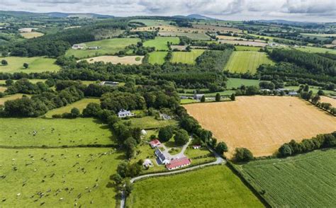 Savills Ireland Article