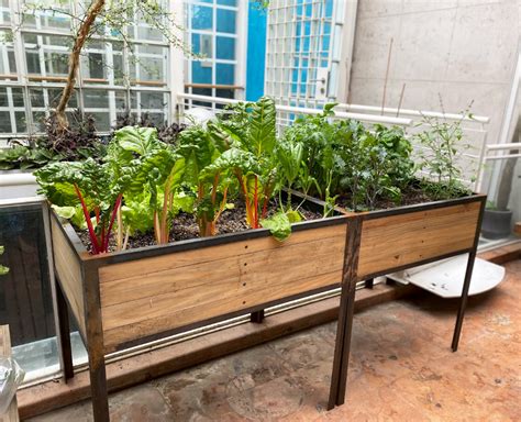 Cama De Cultivo Madera Elevada Sitopia