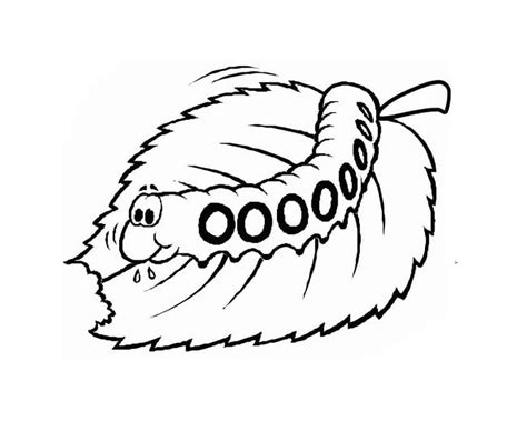 Dibujos De Oruga 5 Para Colorear Para Colorear Pintar E Imprimir