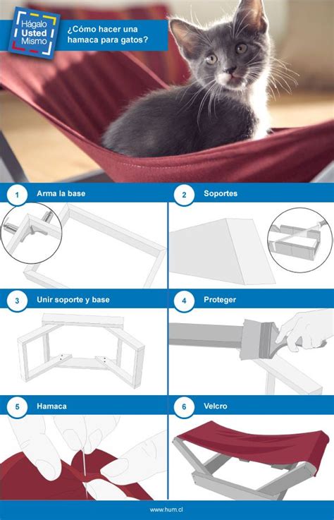 Especial para gatos acurrucadores y dormilones Mira lo fácil que es