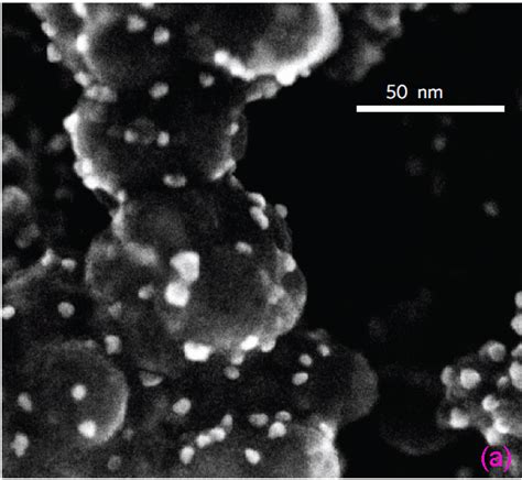 SEM And STEM Observation Of Pd Palladium Particles