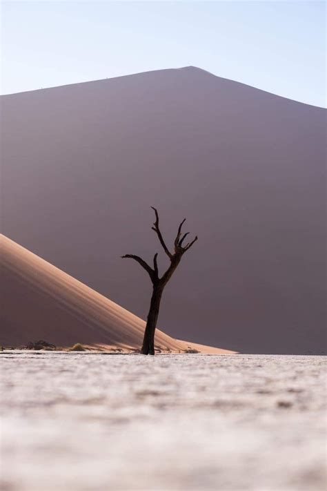 Africa Facts Zone On Twitter Deadvlei Namibia