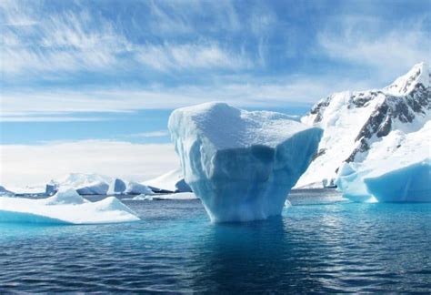 Clima Polar Características Flora Fauna y Adaptabilidad