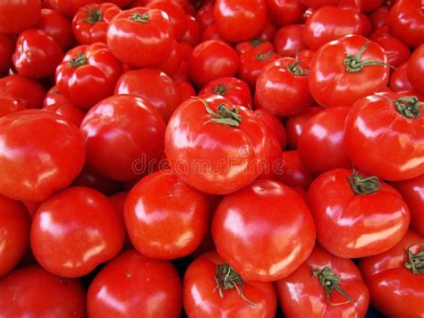 Tomates Mucho Tomate Bazar Verduras Para La Venta Producto Veh Culos
