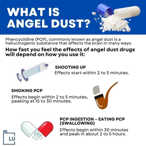 What Is Angel Dust Drug We Level Up Lawrenceville NJ