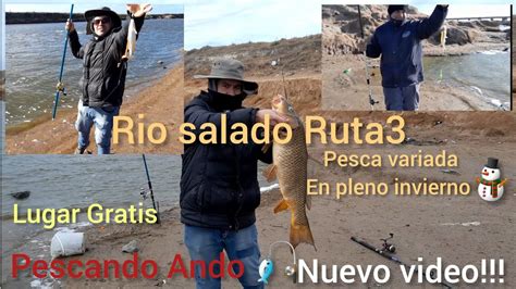 Pesca de pejerrey y variada en Río salado Puente Ruta 3 YouTube