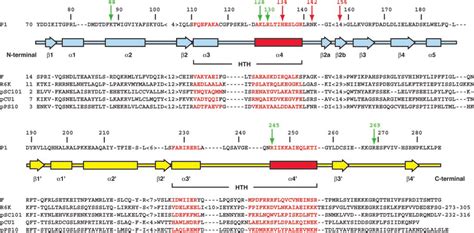 sequence alignment of plasmid initiator proteins showing secondary download scientific diagram