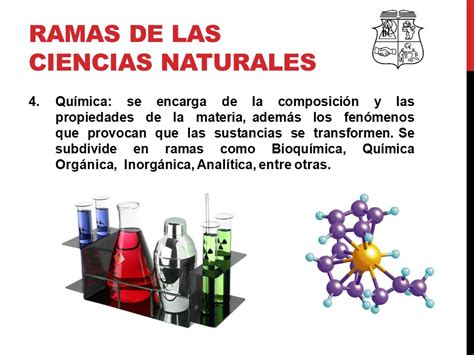 Ramas De Las Ciencias Naturales Ppt Video Online Descargar