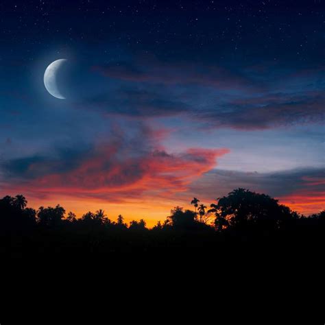 Calendario Lunar De Octubre 2024 Fases Lunares Siembra Y Corte De Pelo