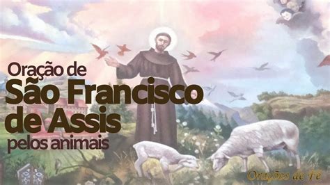 ORAÇÃO DE SÃO FRANCISCO DE ASSIS PELOS ANIMAIS YouTube
