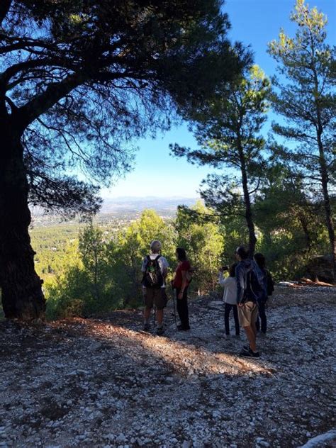 Athen Udforsk De Gamle Kvarterer Med Akropolis Marmorerne GetYourGuide
