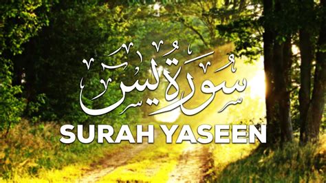 Surah Yasin Yaseen Full HD Arabic Text 036 سورۃ یس By Mishary