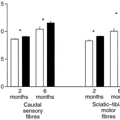 In Vivo Nerve Conduction Velocity In Caudal Sensory And Sciatic Tibial
