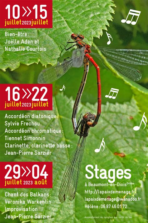 Stage accordéon diatonique Sylvie Frechou 16 juillet 2023 à Beaumont