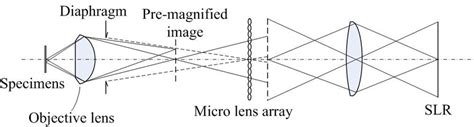 principle of a microscopic integral imaging system download scientific diagram