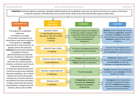 Activaci N Reposici N Por Supuesto Clasificacion De Las Hormonas Segun