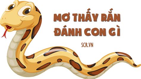 Mơ Thấy Rắn Trắng Điềm Gì Đánh Con Gì Giải Mã Chi Tiết
