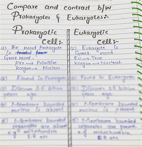 The Difference Between Prokaryotes And Eukaryotes FAQs