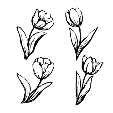Tulip Silhouette Vector