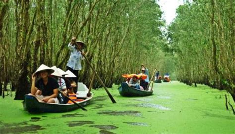 Lặng người trước vẻ đẹp tuyệt tác của rừng tràm Trà Sư