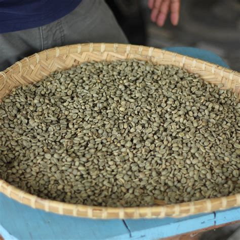 Jual Kopi Arabika Gayo Aceh Full Wash 1Kg Biji Kopi Mentah Green Bean