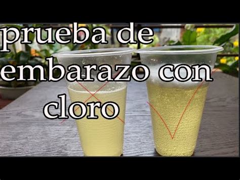 Prueba De Embarazo Con Cloro Negativa Y Positiva YouTube