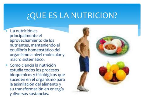 LAS 5 Fases DE LA Nutricion LAS 5 FASES DE LA NUTRICION HUMANA 5 FASES