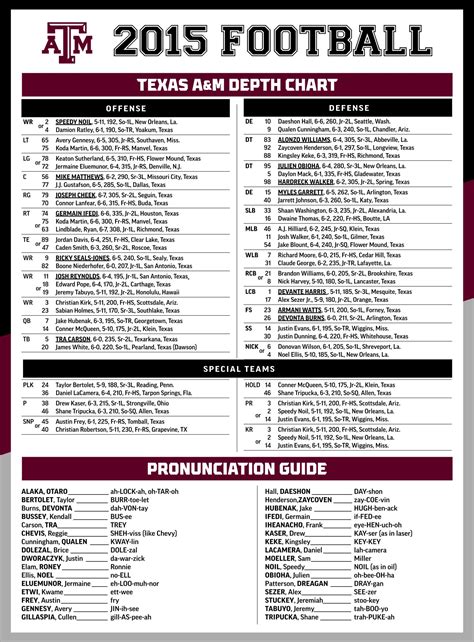 2024 Nfl Team Depth Chart In India Darci Elonore
