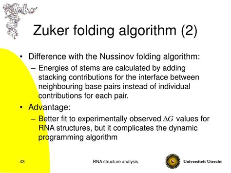ppt rna structure analysis powerpoint presentation free download id 1411714