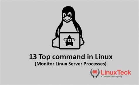 15 Basic Curl Command In Linux With Practical Examples Linuxteck