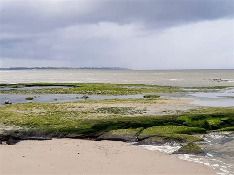 Pingl Par Wendi Sock Sur Water Scapes En Paysage Cartes