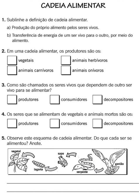 Cadeia Alimentar No Ano Dicas E Atividades