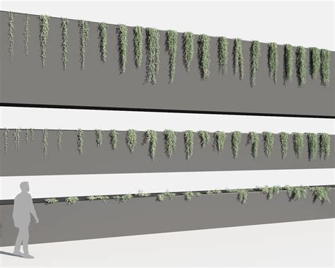 Растения дихондры GrowFX 3D Модель 29 max c4d fbx obj blend
