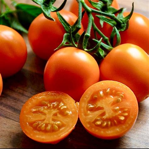 Tomato Blond Koepfchen Seedfreaks Sow The Change You Want To Seed