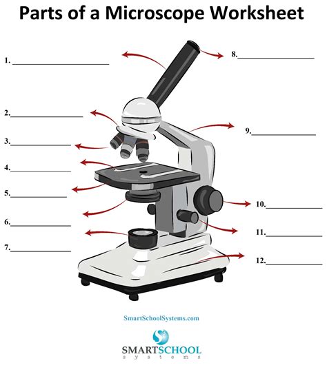 Label Parts Of Microscope Worksheet