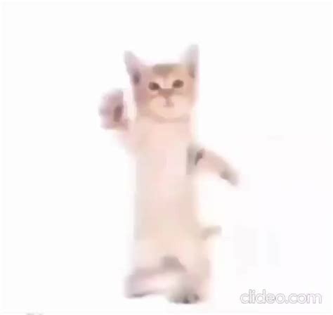Ni Modo Meme Subido Por SAULTROLL66 Memedroid
