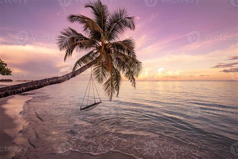 A View Of A Beach With Palm Trees And Swing At Sunset Unique Landscape