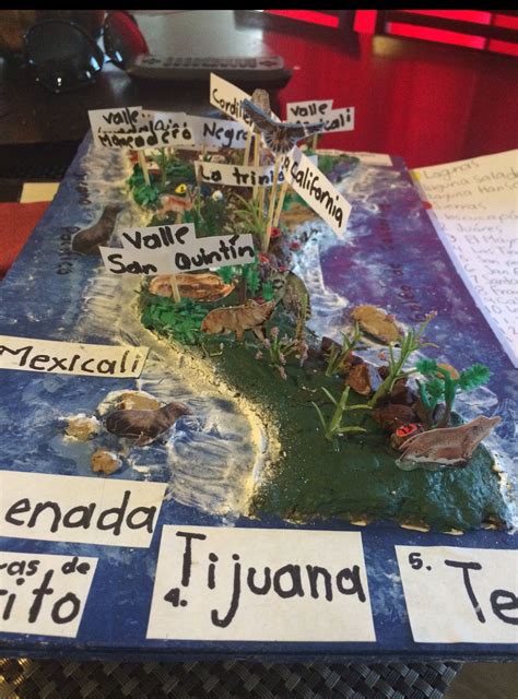 Maqueta Baja California Su Flora Fauna Sierras Maquetas Escolares