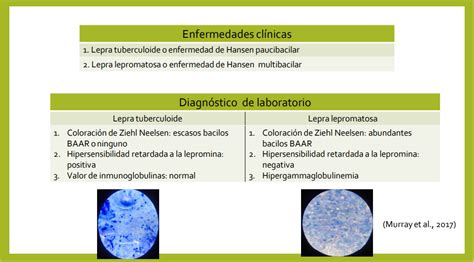 INFECCIONES EN PIEL POR PATÓGENOS ESTRICTOS Mind Map