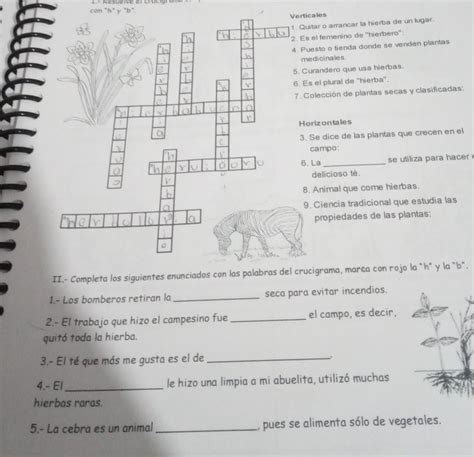 2 Completa Los Siguientes Enunciados Con Las Palabras Del Crucigrama