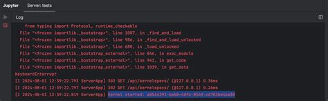 Manage Jupyter Notebook Servers Dataspell Documentation