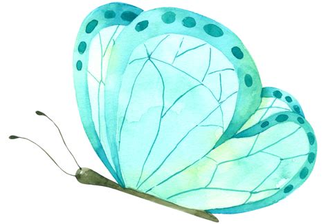 pintura à mão em aquarela de borboleta 10220153 PNG