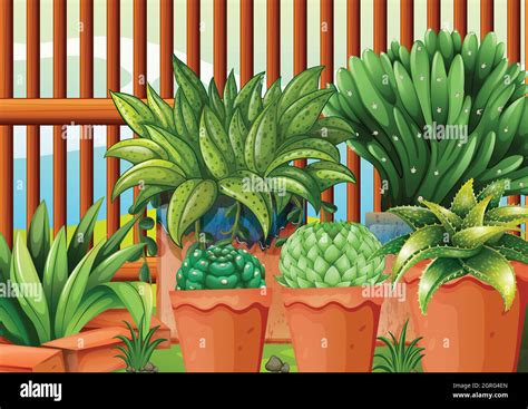Plants And Their Environments Stock Vector Images Alamy