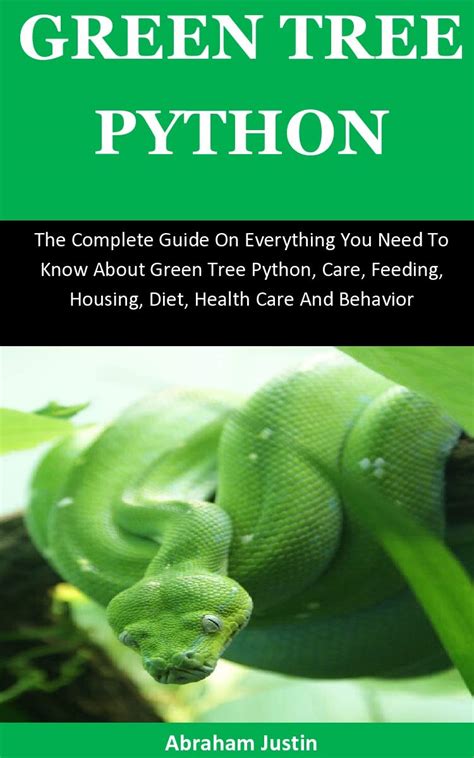 Buy Green Tree Python The Complete Guide On Everything You Need To
