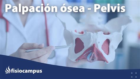 Palpación ósea de la pelvis YouTube