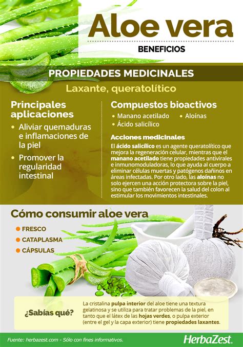 Aloe Vera HerbaZest