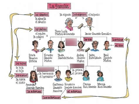 La Familia Diagram Quizlet