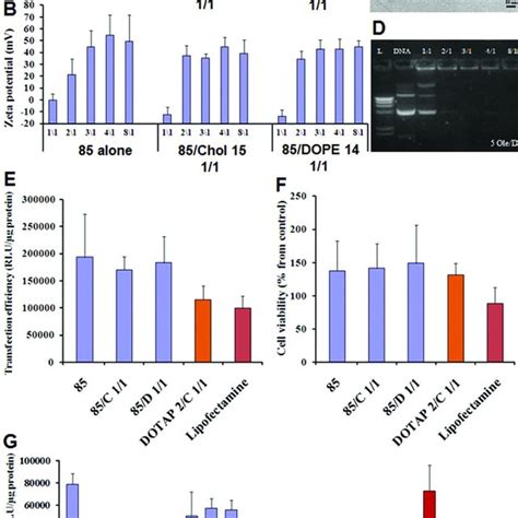 Transfection Efficiency Of Mrna With Pgs Based Formulations At