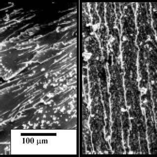 Sem Micrographs Showing The Fracture Morphology After Impact Testing
